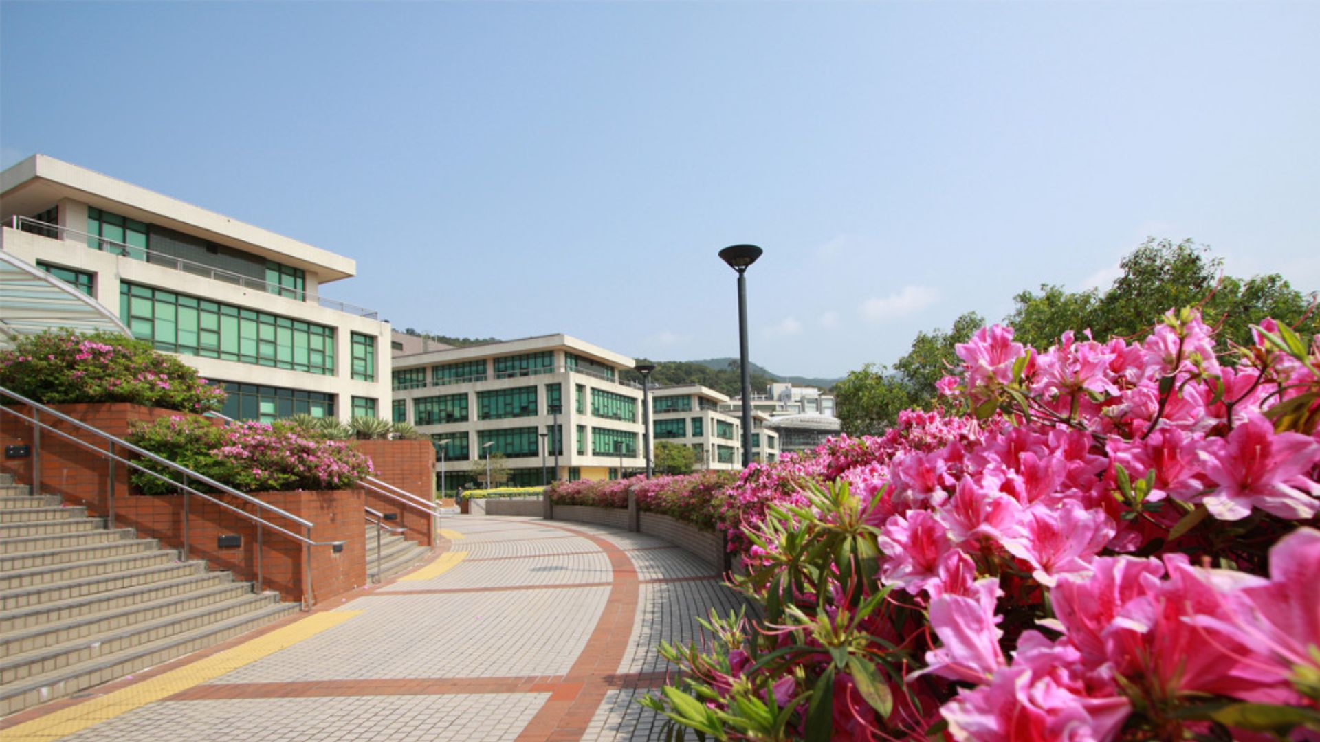 Home | Undergraduate Programmes | The Education University of Hong Kong
