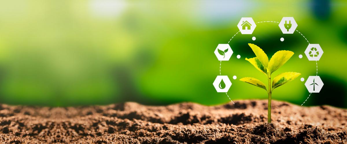 Bachelor of Science (Honours) in Integrated Environmental Management ...